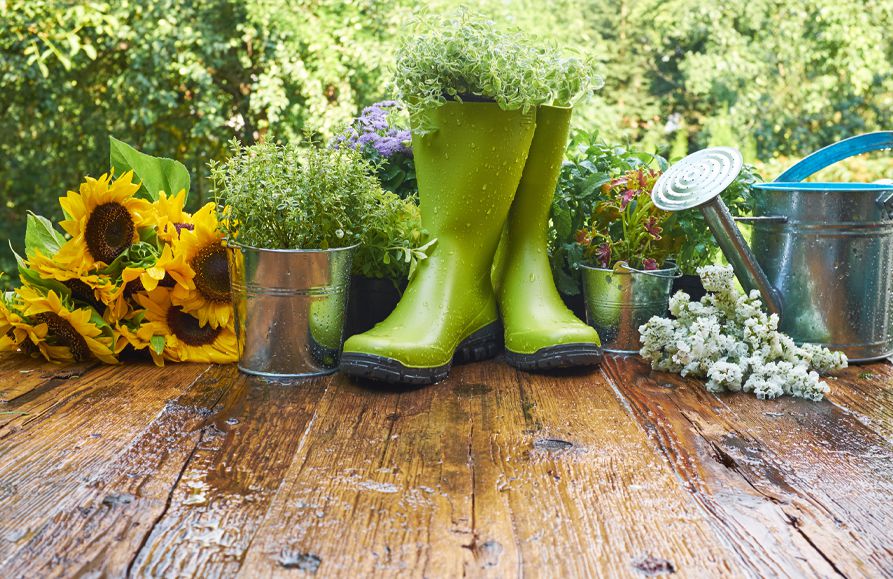 Does a Home Garden Increase Property Value?